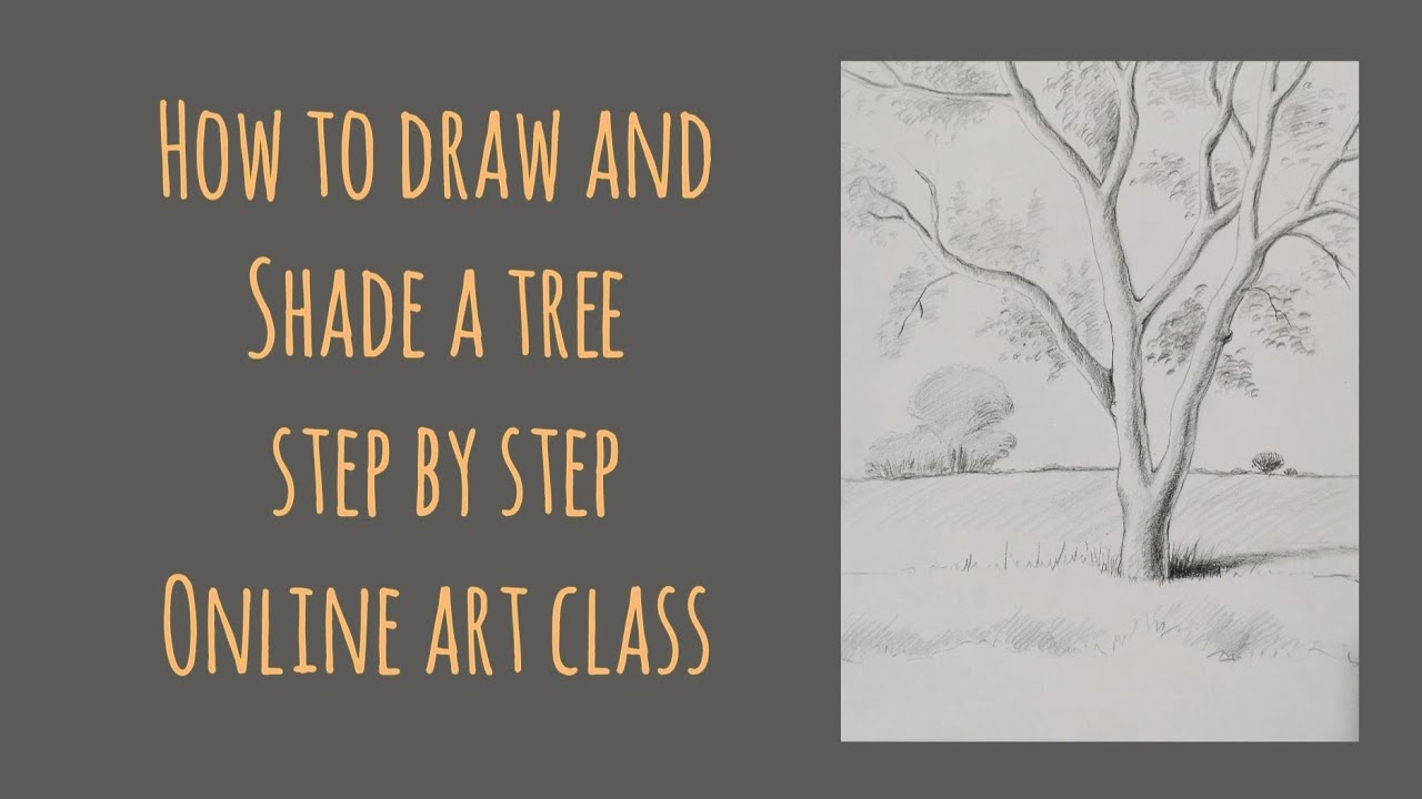 How to draw a tree, Lesson #16 - YouTube
