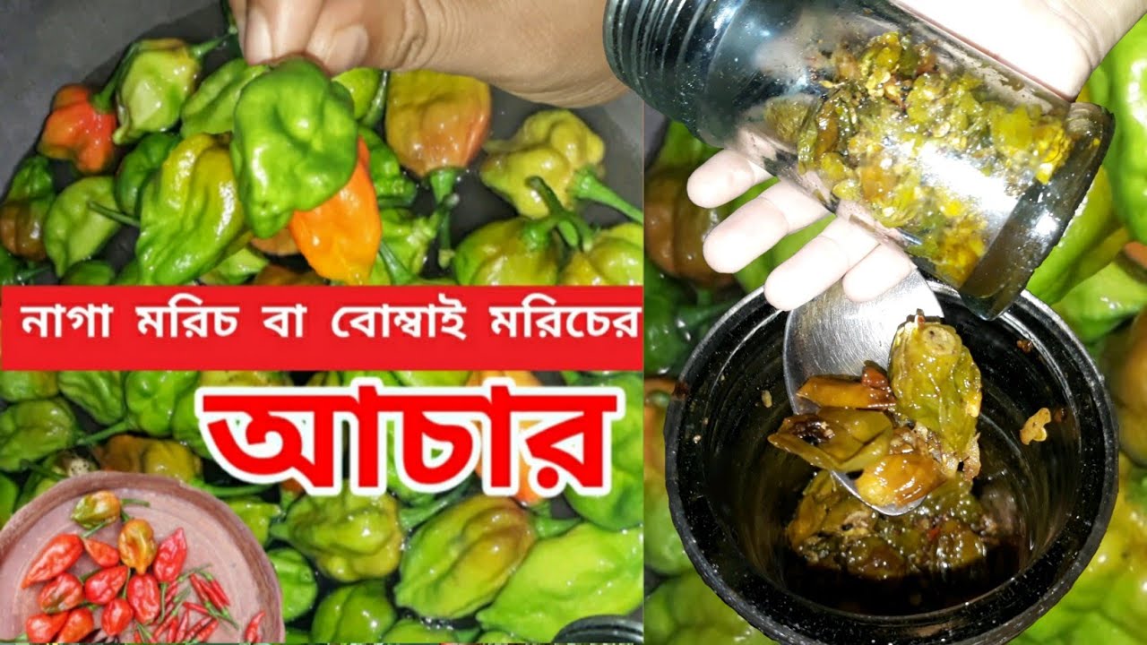 নাগা মরিচ বা বোম্বাই মরিচের আচার কিভাবে দিবেন?/nagamorich or bumbai ...