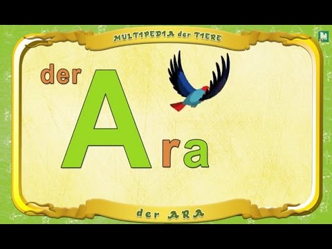 Tante Eules Multipedia - Buchstabe A  - der Ara