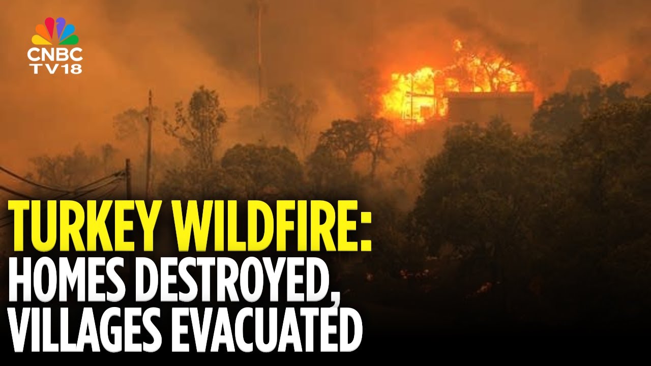 Izmir, Turkey Wildfire Disaster: Firefighters Battle Massive Blazes ...