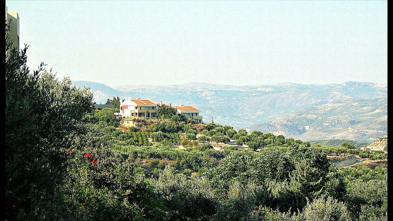 Sounds and Dances of Crete: Cicadas! and Petrakis / López / Chemirani ...