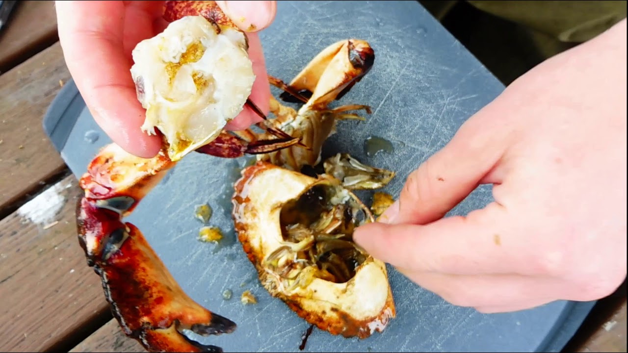 How to Prepare a Crab for Cooking - YouTube