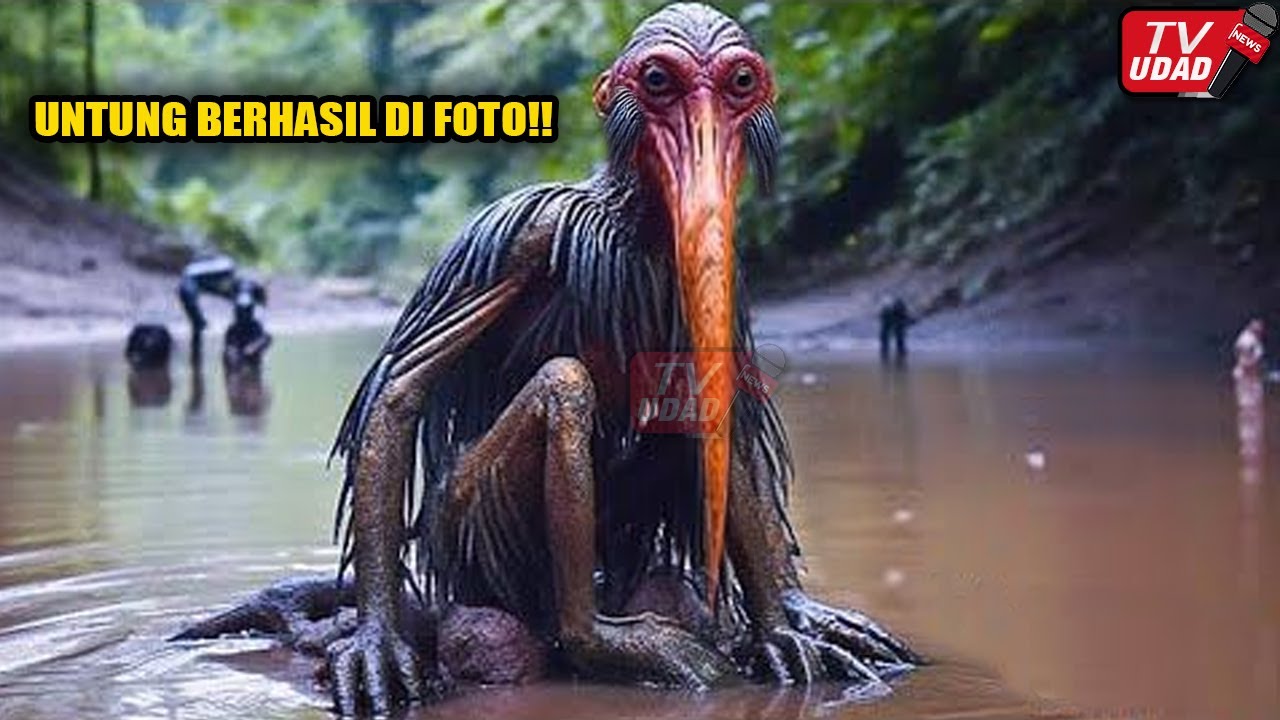 Penampakan Hewan Mengerikan dan Menakutkan Yang Terekam Kamera!! Aneh ...