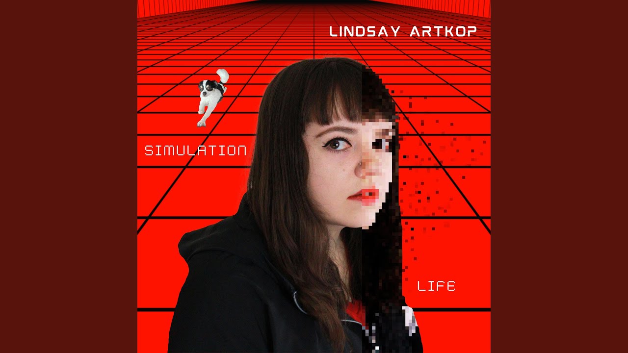 Simulation Life - YouTube