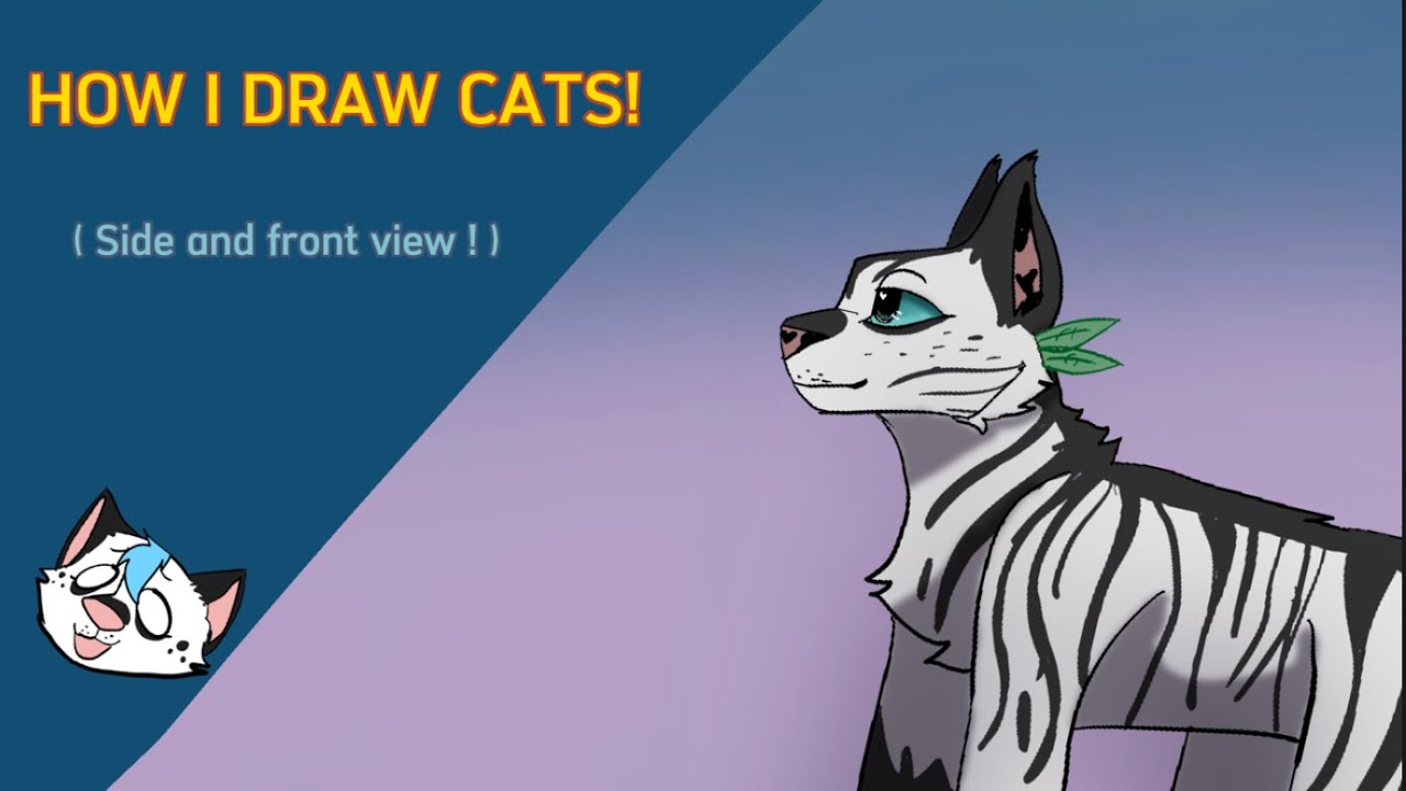 How I Draw Cats! ( front and side view! ) - YouTube