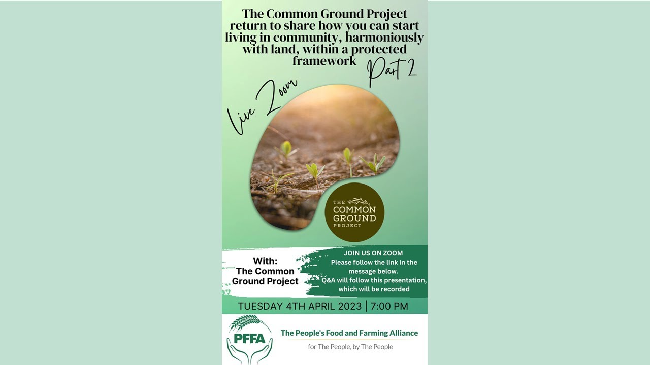 The Common Ground Project Part 2: how you can start living in community ...