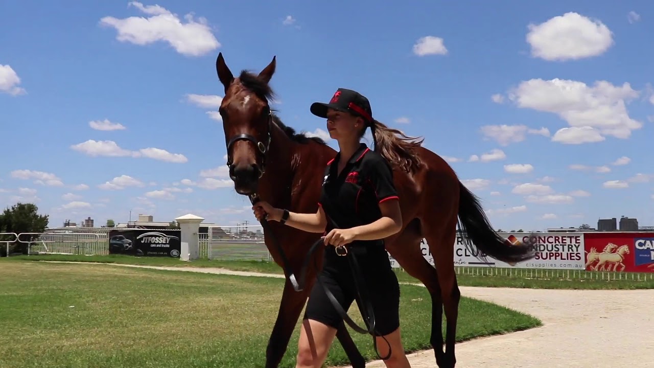 Trainer Pitch: Cody Morgan - YouTube