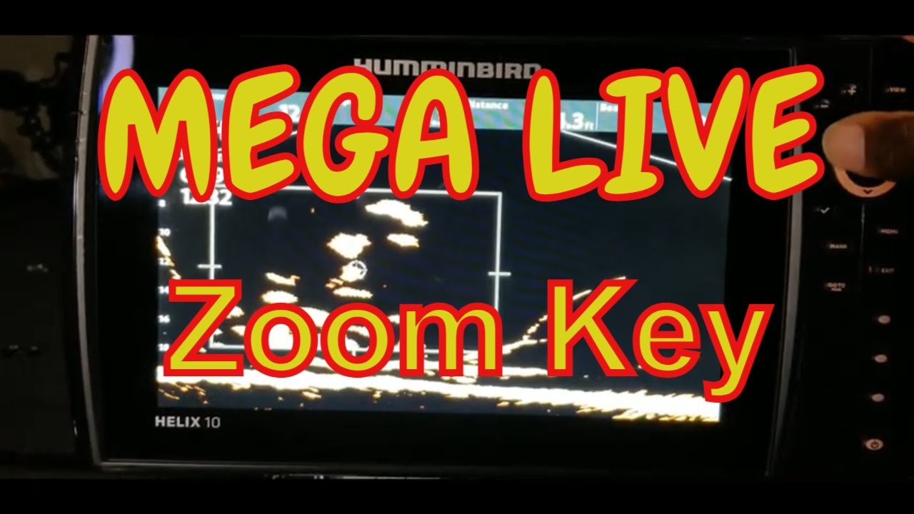 Mega Live ZOOM Setting! (Quick Tip!) - YouTube