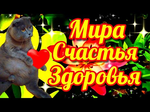 💗🌞🌈Красивое музыкальное пожелание мира, любви, счастья, здоровья, наидобрейшего утра 🎵