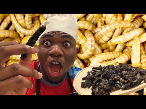 Caterpillars for Dinner🤤🤢 Insect MUKBANG (Mbinzo) - YouTube