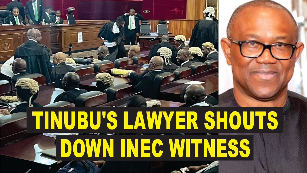 Peter Obi Petition: INEC Witness Testifies Under Pressure, Interesting ...