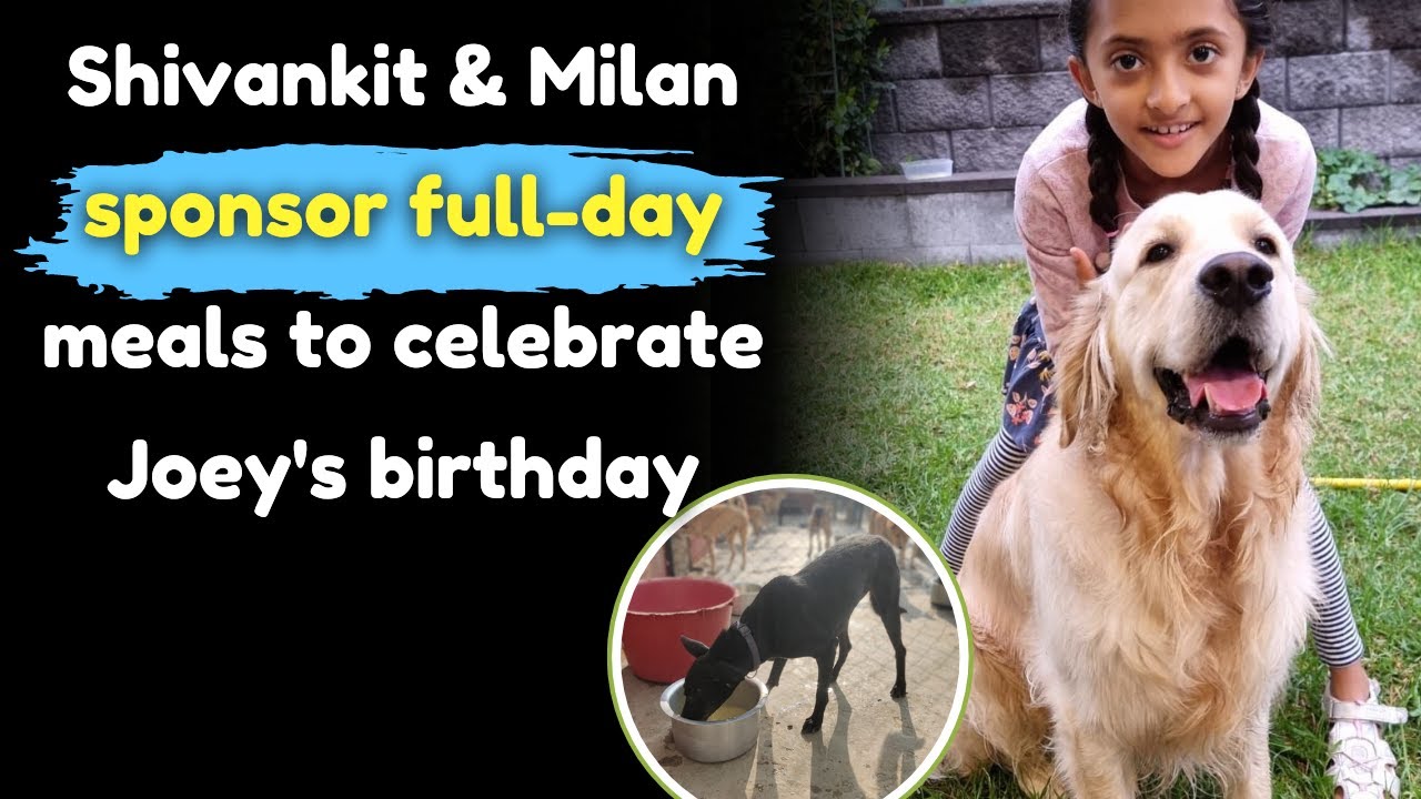 Shivankit & Milan sponsor full-day meals to celebrate Joey's birthday ...