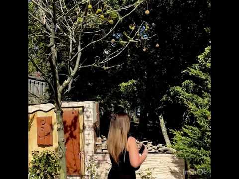 Dle yaman Armenian♥️ Твоя любовь была как яд …
