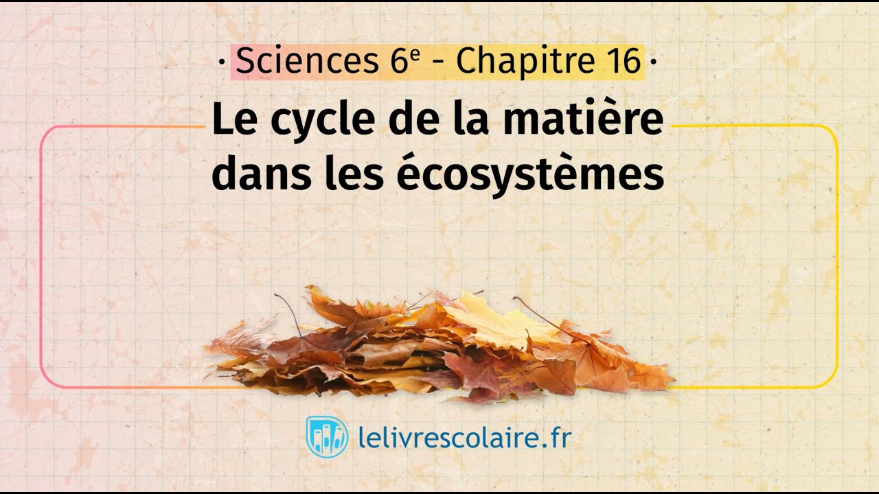 Place des êtres vivants dans le cycle de la matière (Sciences et ...