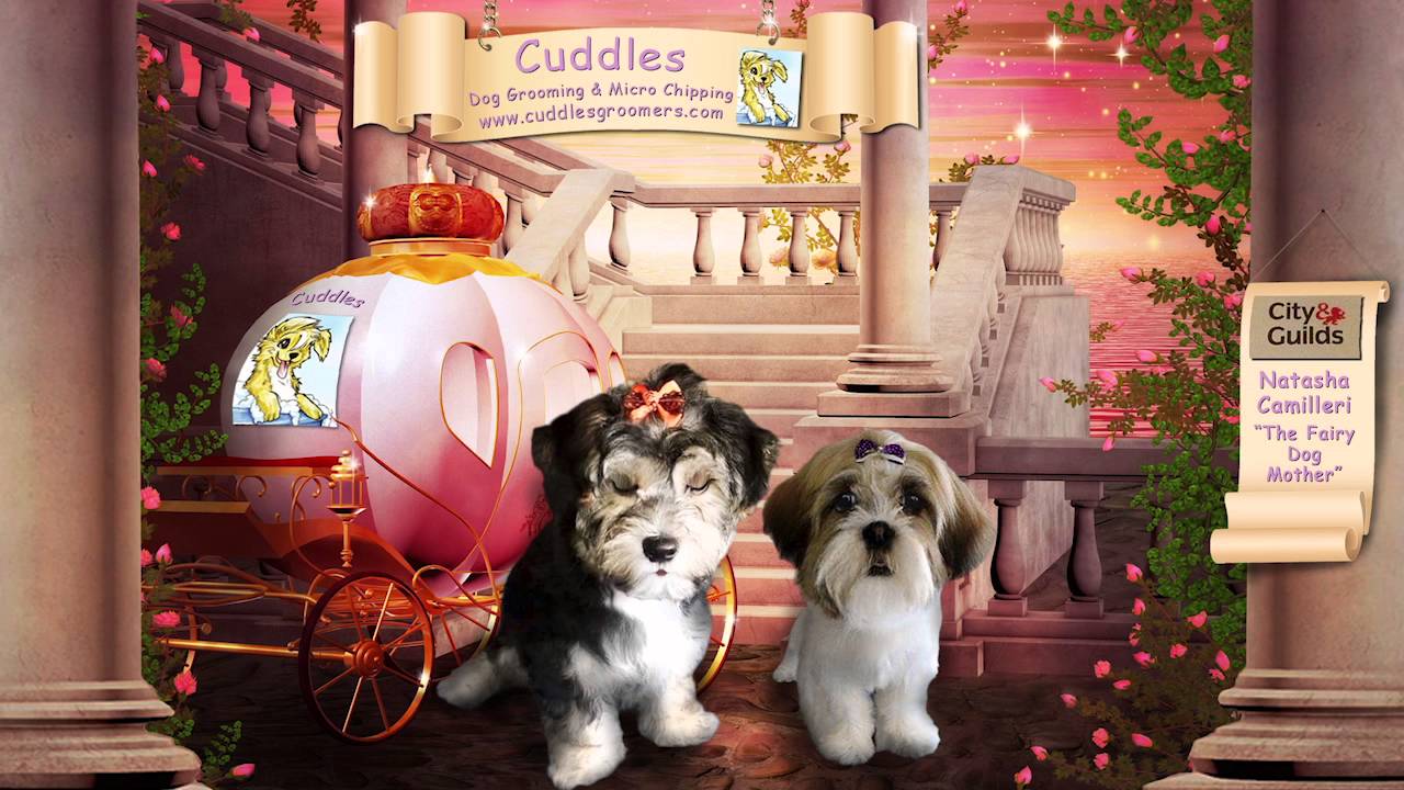 CUDDLES GROOMERS COMMERCIAL - YouTube