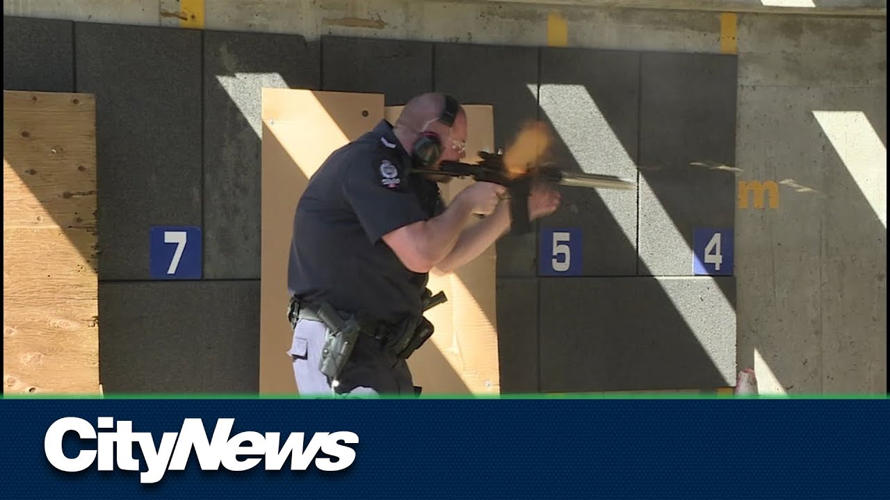 Edmonton police seek 3 people after 11 firearms seized - YouTube