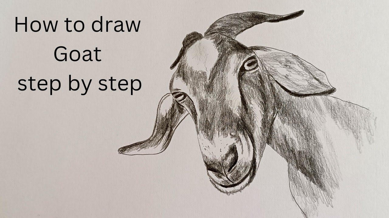 How to draw a goat step by step | Pencil sketch | Animal drawing easy ...