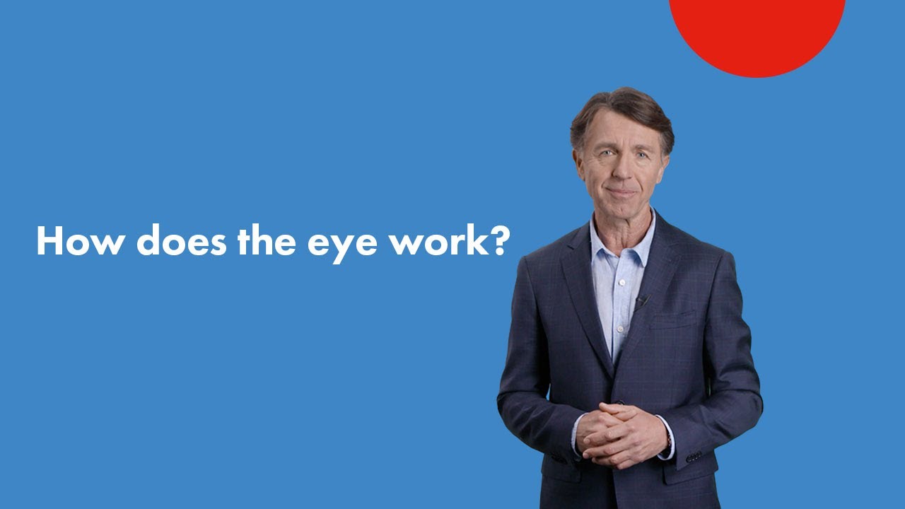 how-does-the-eye-work-youtube