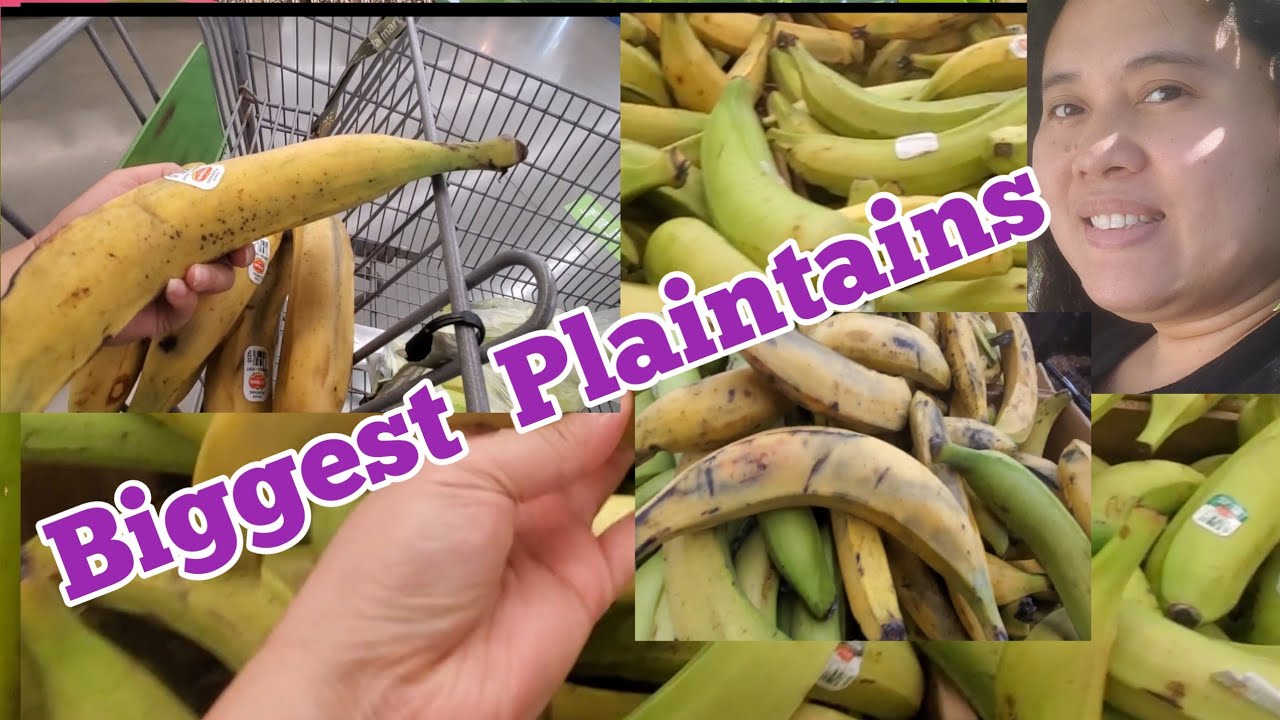 Pinakamalaking saging nakita ko ||Big Plantains - YouTube