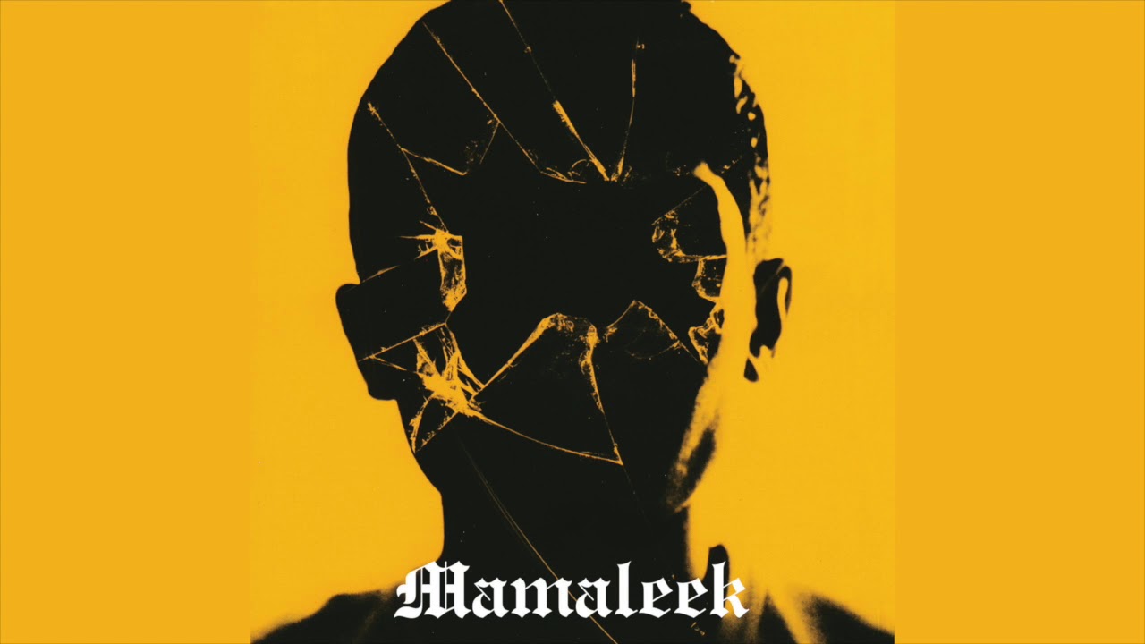 Mamaleek - Almost Dead Dog - YouTube