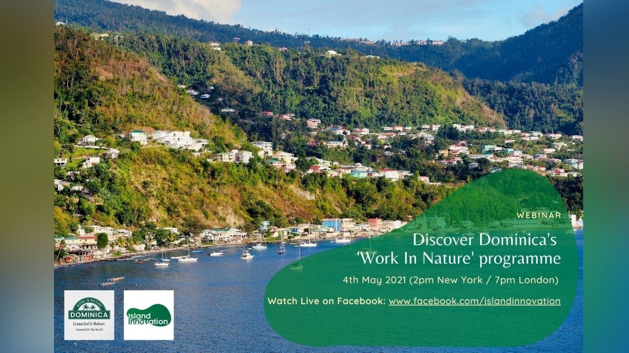 Discover Why Dominica’s “Work In Nature” Programme Could Be Perfect For ...