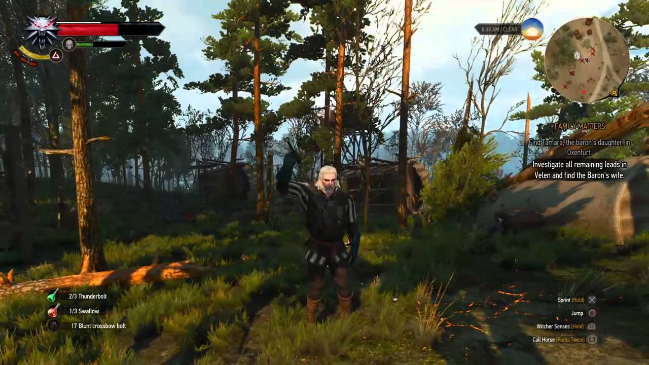 The Witcher 3: Wild Hunt Gruesome decapitation - YouTube