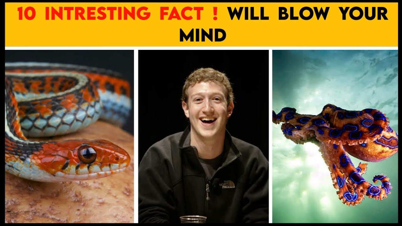 Top 10 intresting fact | New fact video| Random fact | Most amazing ...