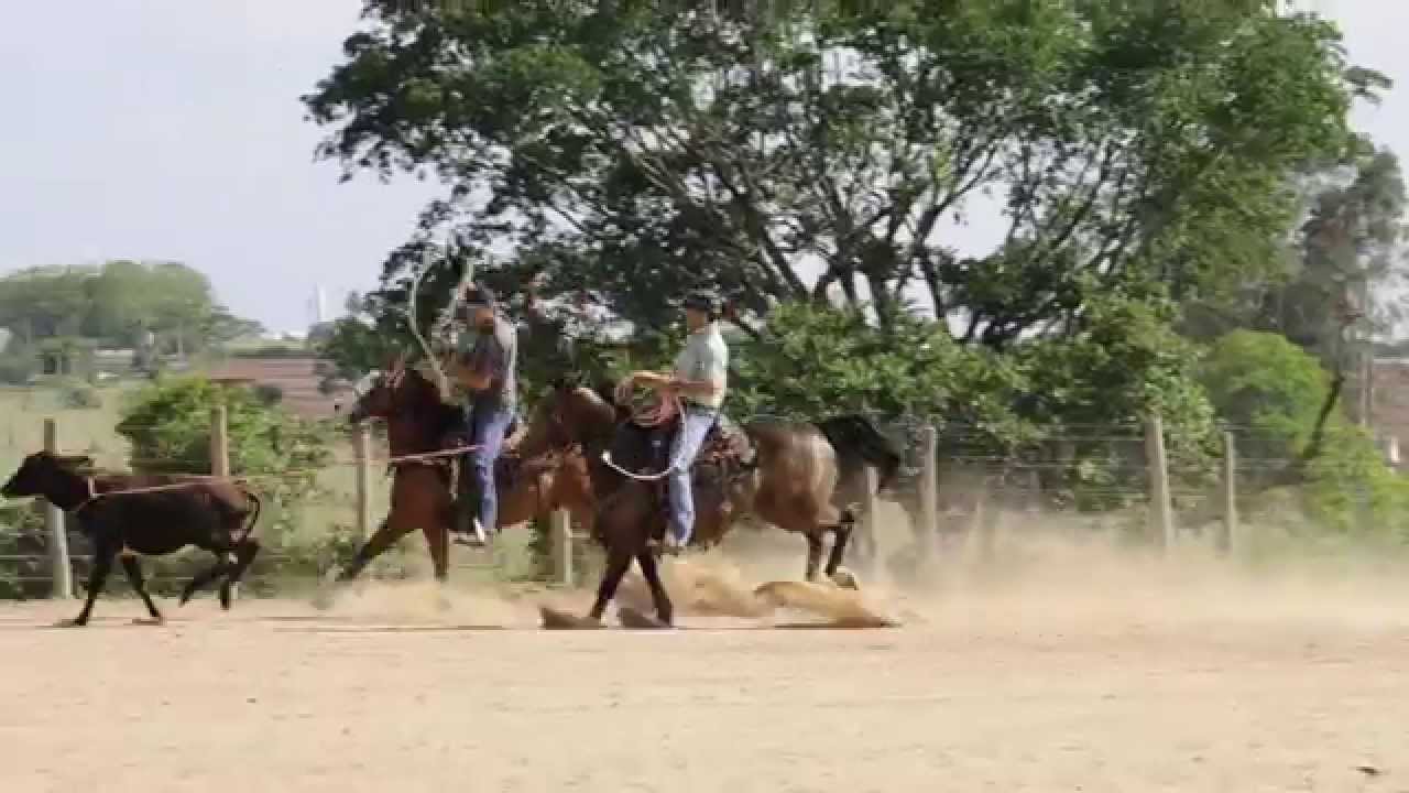 Lady Little Brudder - Laço Cabeça - YouTube