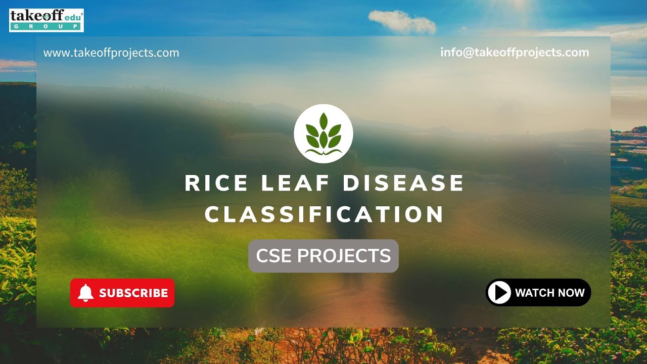 Rice Leaf Disease Classification | Takeoff Edu Group - YouTube