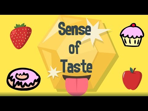 Sense of Taste - YouTube