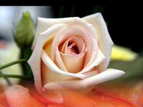 DJ-PRENS-(Nvshr) Bügün-Senin-Dogum Günün-Rap [Remix]