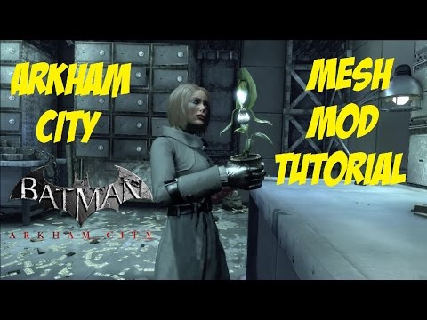 TUTORIAL; Batman; Arkham City; How To Run Mesh Mods - YouTube