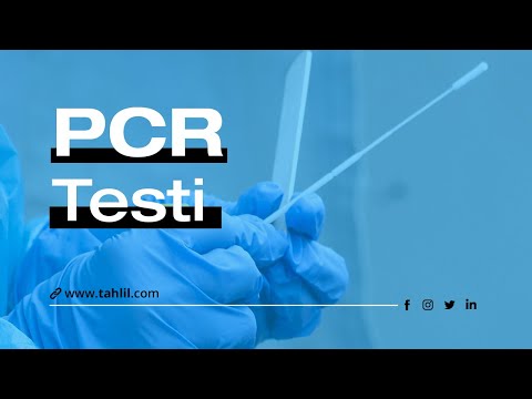 Covid-19 PCR Testi