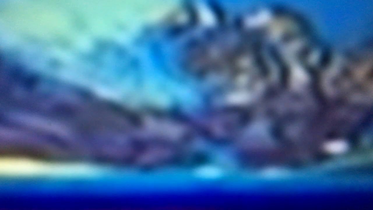 8e220dc7 F4c4 4ce4 83b1 66b780160701 Youtube