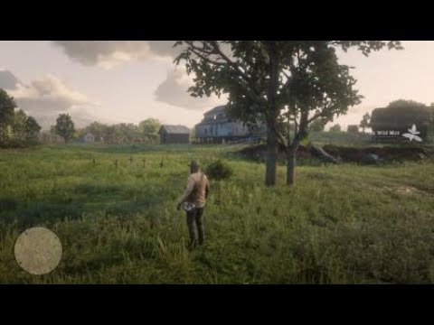 Red Dead Redemption 2 - RDR2 - WILD MINT - HERB - GOOD LOCATION ...