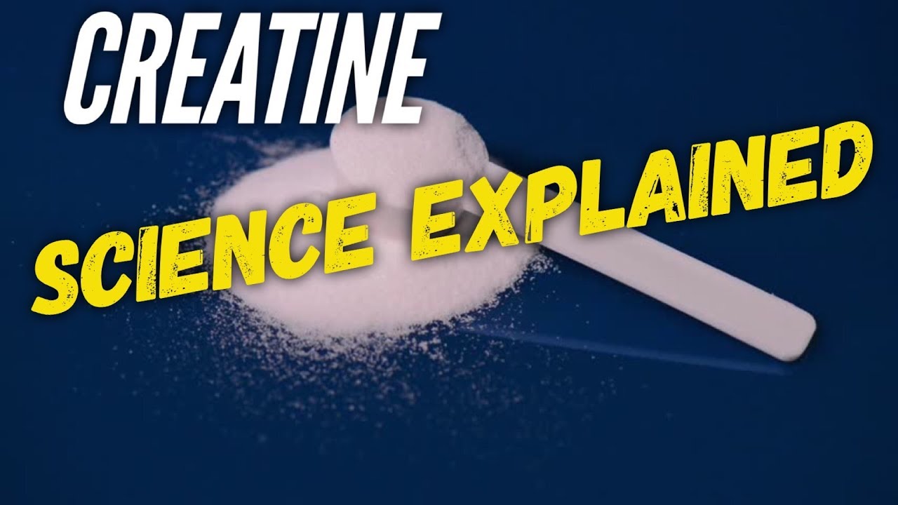 Science Behind CREATINE | How Does Creatine Work? - EVERYTHING YOU NEED ...