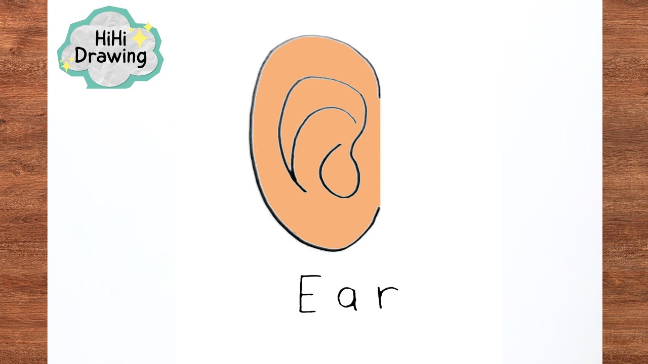 Let's Draw a Ear Together! 👂🏻 | Easy Drawing Step by Step - YouTube