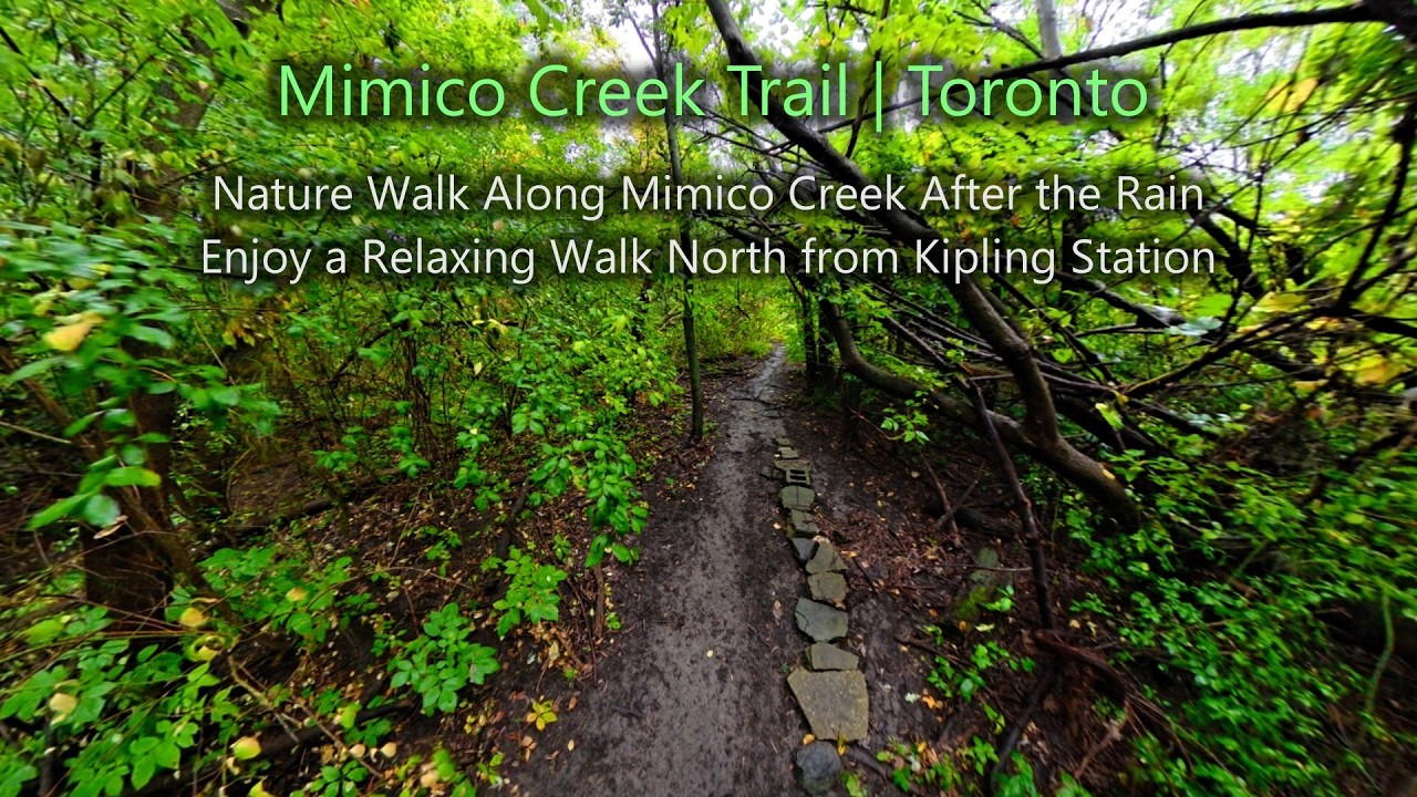 Mimico Creek Trail Nature Walk | West Toronto - YouTube