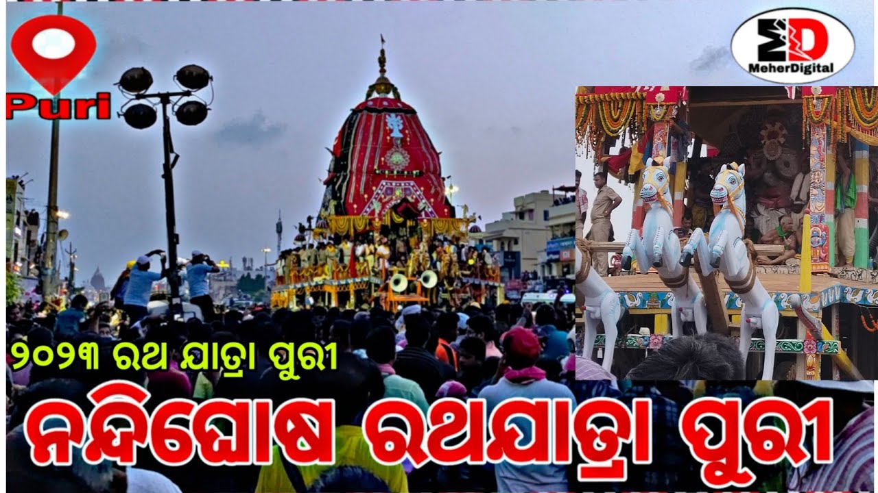 Nandighosha Ratha jatra Puri //Gundicha Ratha jatra//Puri Ratha Jatra ...