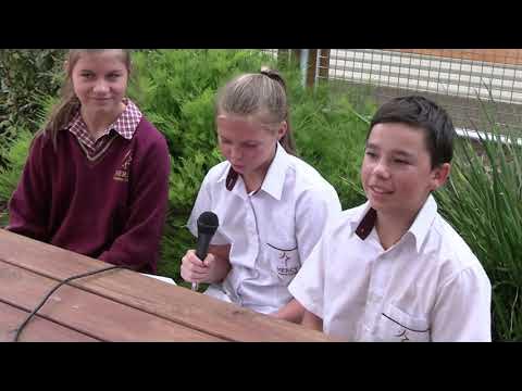 Year 7 2021 - YouTube