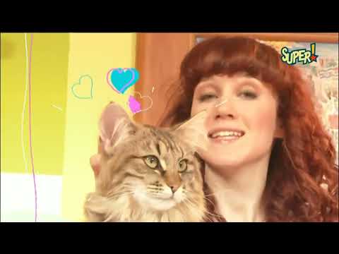 Super! - Cambio logo e grafica - 17 luglio 2026 (Stream WEB)