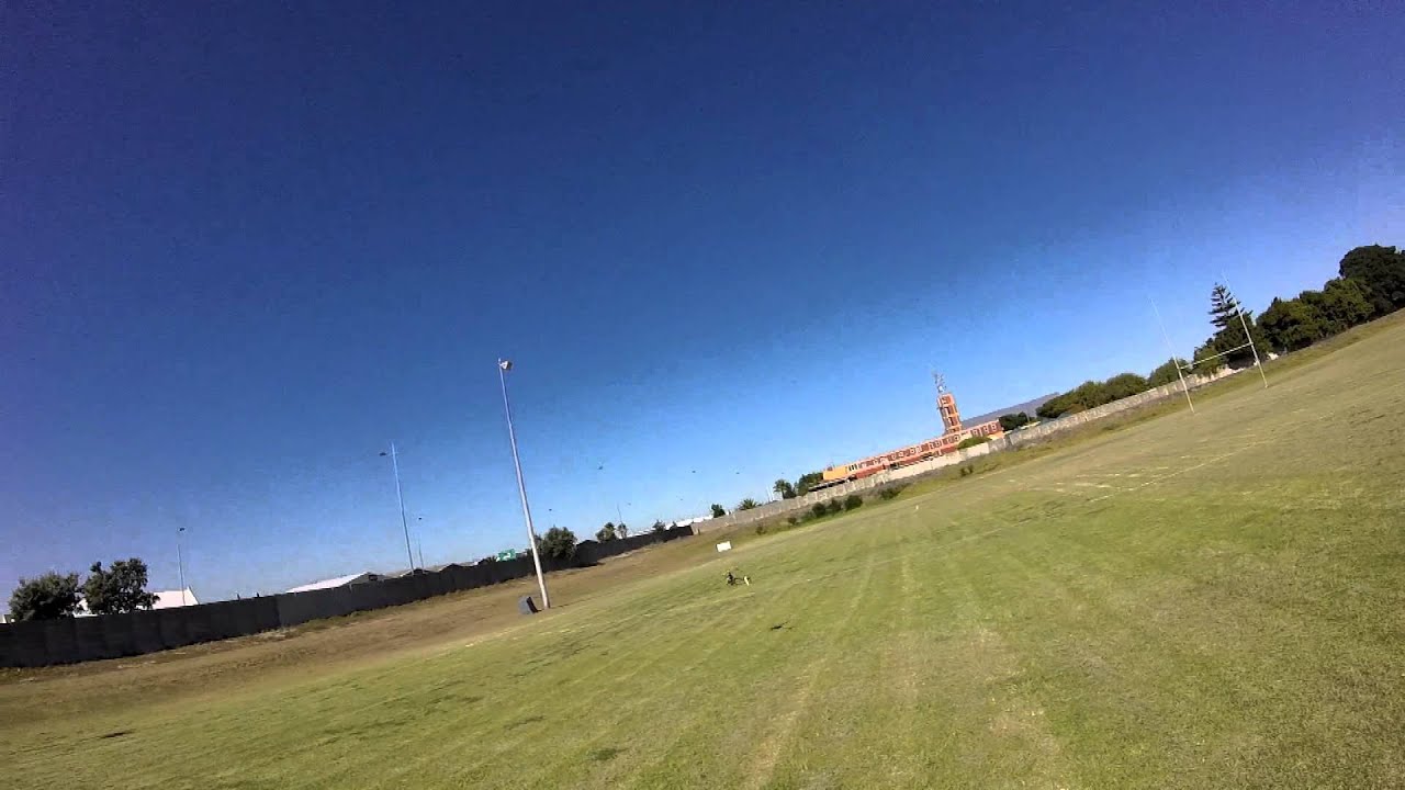 When Bugs Attack !! - YouTube