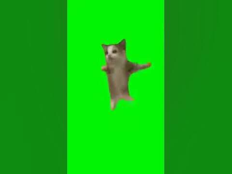 хапи хапи - YouTube
