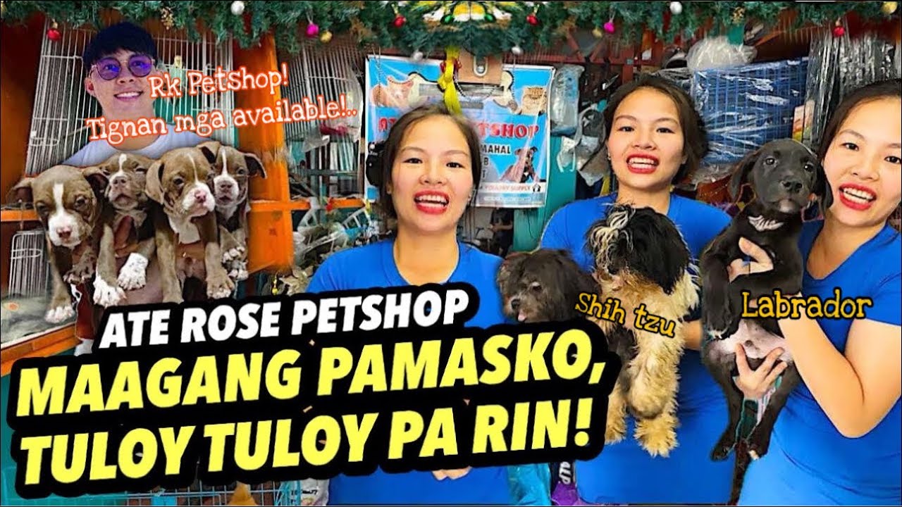TULOY TULOY PA RIN ANG MAAGANG PAMASKO | ATE ROSE PETSHOP | NOVEMBER 27, 2024 - YouTube