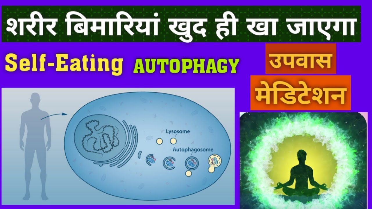 Autophagy Fasting Meditation To Activate Self Eating Cell In Hindi ...