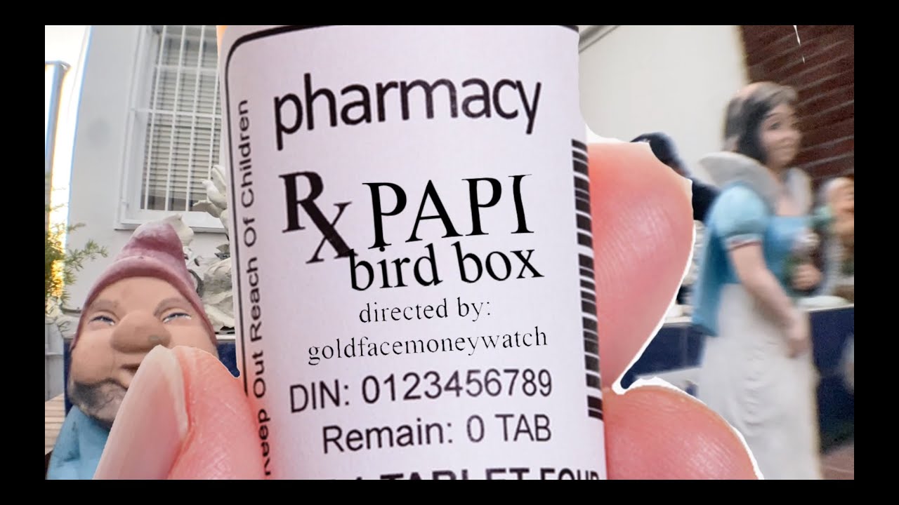 RX PAPI - BIRD BOX (official video) [directed by goldfacemoneywatch ...