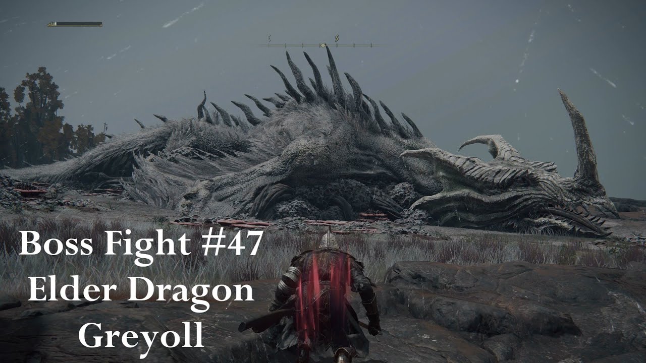 Elden Ring 47th Boss Fight - Elder Dragon Greyoll - YouTube