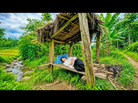 No Home, No Money, and No One by Her Side – A Poor Girl Starts Her Life Again From Nothing