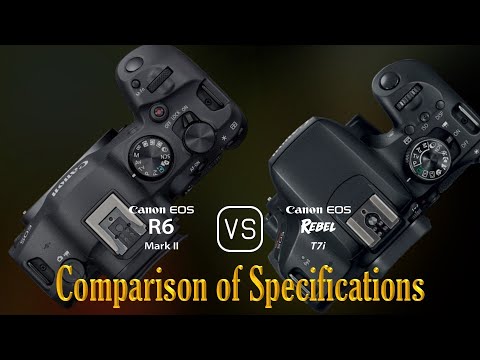 Canon EOS R6 Mark II vs. Canon EOS Rebel T7i: A Comparison of ...