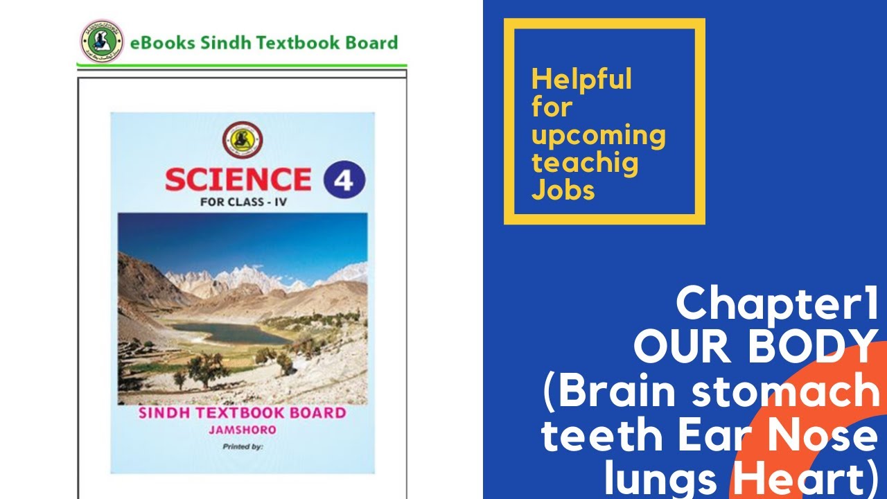 Chapter 1 Our body Class 4 Science | Sindh text book board jamshoro ...
